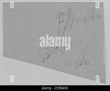 „Trois études de pattes de rapaces pour Les Chimères“ von Gustave ...