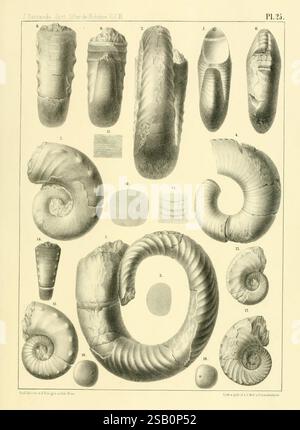 Système, Silur, Centre, Bohême, Prag, Chez l'auteur, 1852-1911 ...