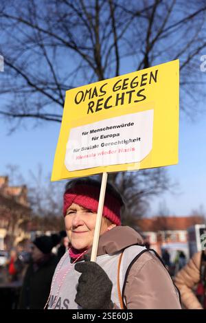 Eine Demonstrantin mit Schild OMAS gegen Rechts während einer OMAS gegen Rechts Demo in Potsdam ...