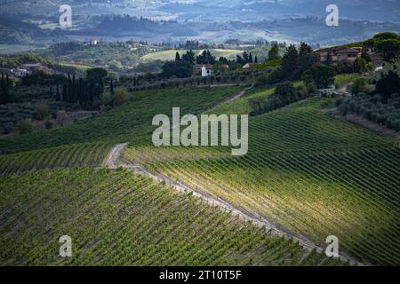 Toskana Weinberge Italien September 2023 der toskanische Wein ...
