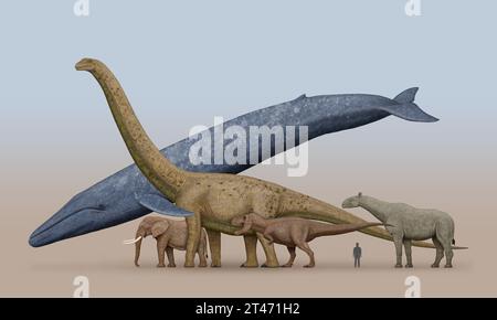 Blauwal und Elefant, die größten Tiere der Welt. Vergleich Maßnahmen ...