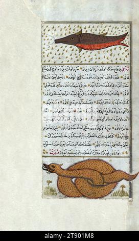 Türkische Version der Wunder der Schöpfung, Eine große Schlange und eine Heuschrecke, dies ist ...