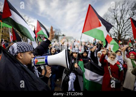 DEN HAAG - Teilnehmer an einer pro-palästinensischen Demonstration vor ...
