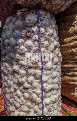 01 19 2007 Knoblauch an der Jahrtausendwende des alten Mandai Lord Reay ...