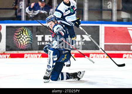 Torjubel, Jubel, Freude Hunter Shinkaruk (Iserlohn Roosters, #88) Eric ...
