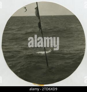 August 1929. Hochseefischen. Auf dem Bild, der Sack voller Fische auf ...