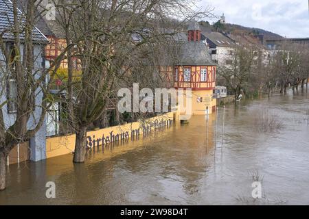 Lahnstein, Deutschland. Dezember 2023. Platanen an den Ufern der Lahn ...