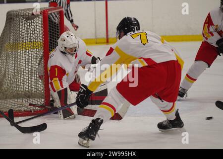 Dumfries, 14. Dezember 2023. Netminder Chen Shifeng beobachtet ...