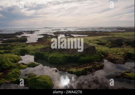 Stony Rise Beach ist ein abgeschiedener und abgelegener Hinterstrand ...