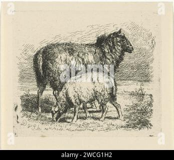 Schaap mit Lam, Dirk van Lokhorst, 1828 - 1893 Druckschafe mit ...