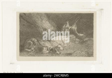 Zwei Hunde ruhen auf der Jagd: Jan Cassiers, 1700 - 1800 drucken zwei ...