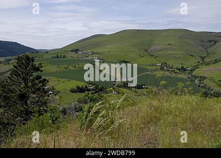 JULIAETTA/IDAHO/USA- Wohngebiete und Hügel Juliaetta juliaetta nme ...