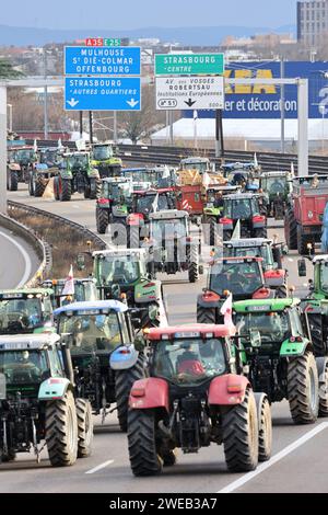 Straßburg, Frankreich. Januar 2024. © PHOTOPQR/L'ALSACE/Jean-Marc LOOS ...