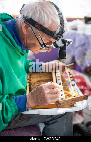 Larve der Biene, ausgewählt für den Anbau von Bienenkönigin. Werkzeug ...
