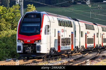 Ein neuer IR-Dosto ist gerade über das Rheinviadukt Eglisau gefahren ...
