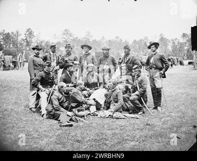 Fair Oaks, Virginia (Umgebung). Brigadeoffiziere der Pferdeartillerie ...