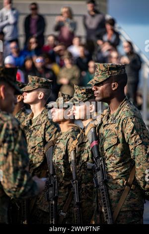 New Marines of Delta Company, 1. Rekrut Training Bataillon, märz in ...