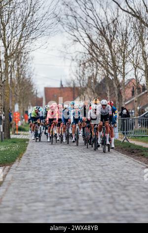 Waregem, Belgien. März 2024. Die belgische Lotte Kopecky von SD Worx ...