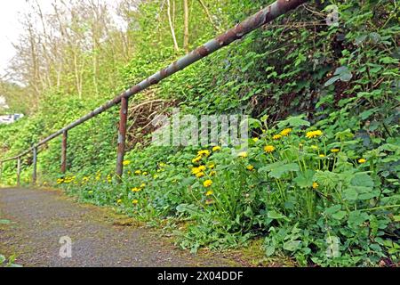 Betreten auf eigene Gefahr ein Alter und maroder und zugewachsener ...