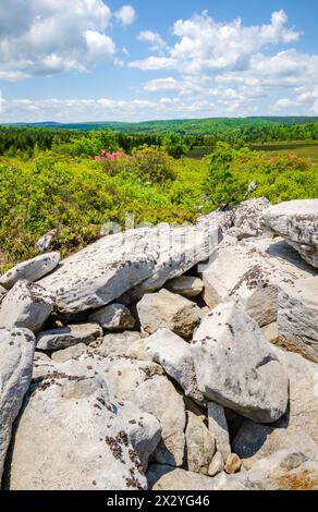 Im Bear Rocks Preserve, Nature Preserve in West Virginia, USA, gibt es ...