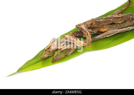 Trockenfische Bombay Ente, Bummalo, Bombil und Boomla sind eine Art von Eidechsenfischen oder ...