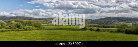 Weston-in-Gordano, North Somerset, GB, Vereinigtes Königreich, England ...