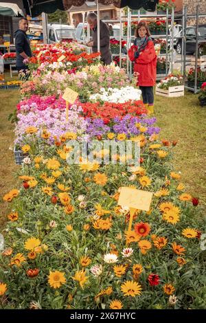 Nabirat, Nouvelle-Aquitaine, Frankreich - 12. Mai 2024: Eine ...