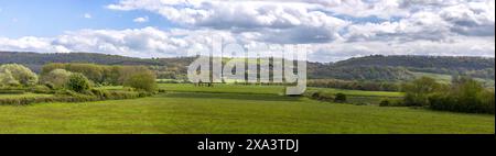 Weston-in-Gordano, North Somerset, GB, Vereinigtes Königreich, England ...