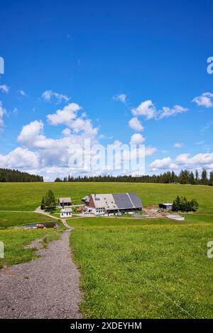 Furtwangen Im Schwarzwald: typisch Schwarzwald Haus, Schwarzwald ...