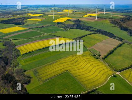 Luftaufnahme, Waldgebiet und Naturschutzgebiet Dreiborner Hochebene NSG ...