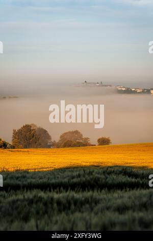 Schloss Waldeck blickt aus dem Morgennebel, im Vordergrund der Netzteil ...