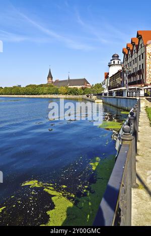 Kathedrale auf der Insel Kneiphof und Fischerdorf, die wichtigsten ...