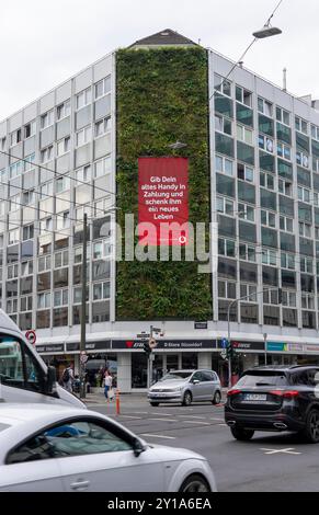 Grüne Fassade an einem Gebäude, Bürogebäude Areo Treibhaus, Graf-Adolf ...