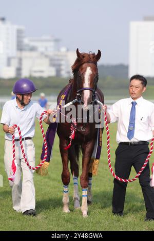 2024/09/08 CHUKYO 11R DER SANKEI SHO CENTAUR SETZT am 8. September 2024 ...