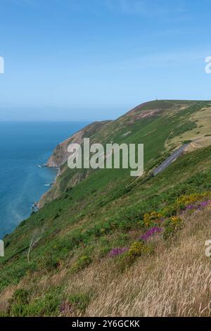 Blick vom Beacon Tor auf Countisbury Hill im Exmoor National Park ...