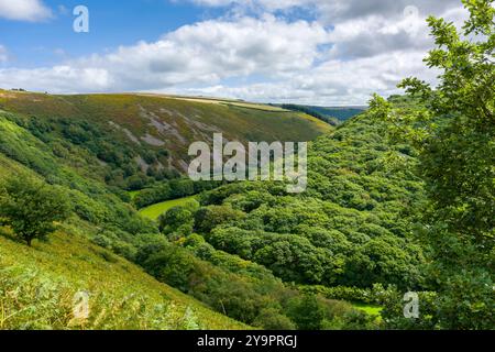 Das East Lyn Valley oder Brendon Valley und Ashton Cleave von County ...