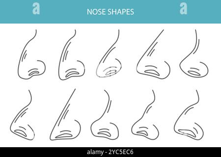 Formen der Nasenanatomie. Nasenerkrankungen. Medizinische Infografik ...