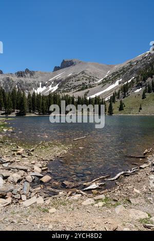 Blick auf Stella Lake auf dem Alpine Lake Trail im Great Basin National ...