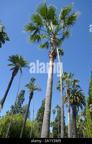 Beverly Hills, Kalifornien, USA, 9. Mai 1994 Schauspielerin Victoria ...