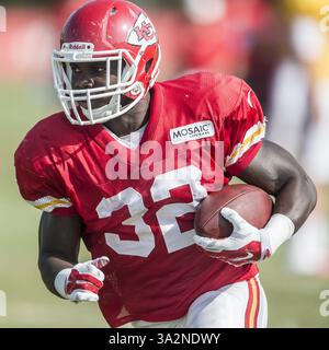 1. August 2014: St. Joseph, MO, USA - Andy Reid, Cheftrainer der Kansas ...