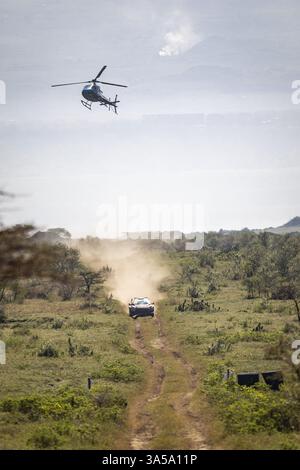 55 Joshua MCERLEAN, Eoin TREACY, Ford Puma Rally1, Aktion während der ...
