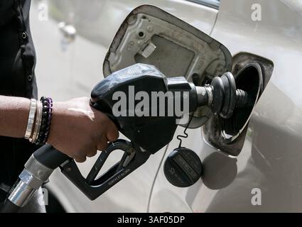 13. März 2015 – Wellington, Florida, USA – der Achtklässler der ...