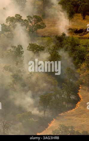 12. Juni 2008 - Paradise, Kalifornien, USA - Bataillonchef TIM HENRY ...