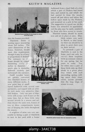Keith’s Magazine, eine monatliche Publikation von Max L. Keith 1918 ...