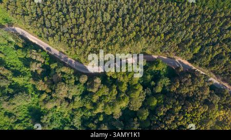 Blick aus der Vogelperspektive auf den üppigen Katunga-Wald mit ...