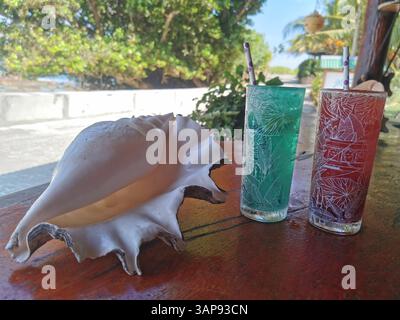 La Digue, Seychellen. März 2025. Ein Seybrew-Bier steht an einer Bar ...