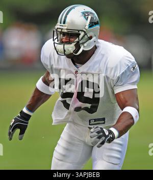 1. August 2011 – Spartanburg, SC, USA – Carolina Panthers Tight End ...
