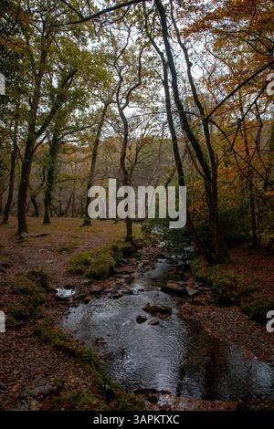 Ein Blick auf den Fluss Walkham in Devon ging in Richtung doppelter ...