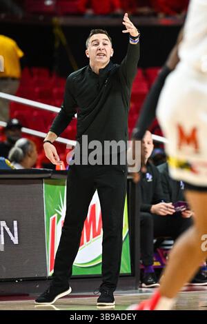 07. November 2022: Der Wächter Noah Thomasson (21) von Niagara Purple ...
