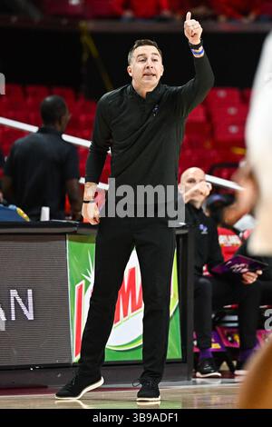 07. November 2022: Der Wächter Noah Thomasson (21) von Niagara Purple ...
